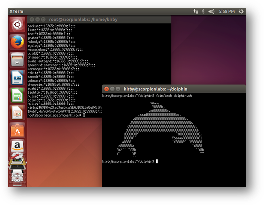Let's Talk About X! (The X Window System, Of Course!)